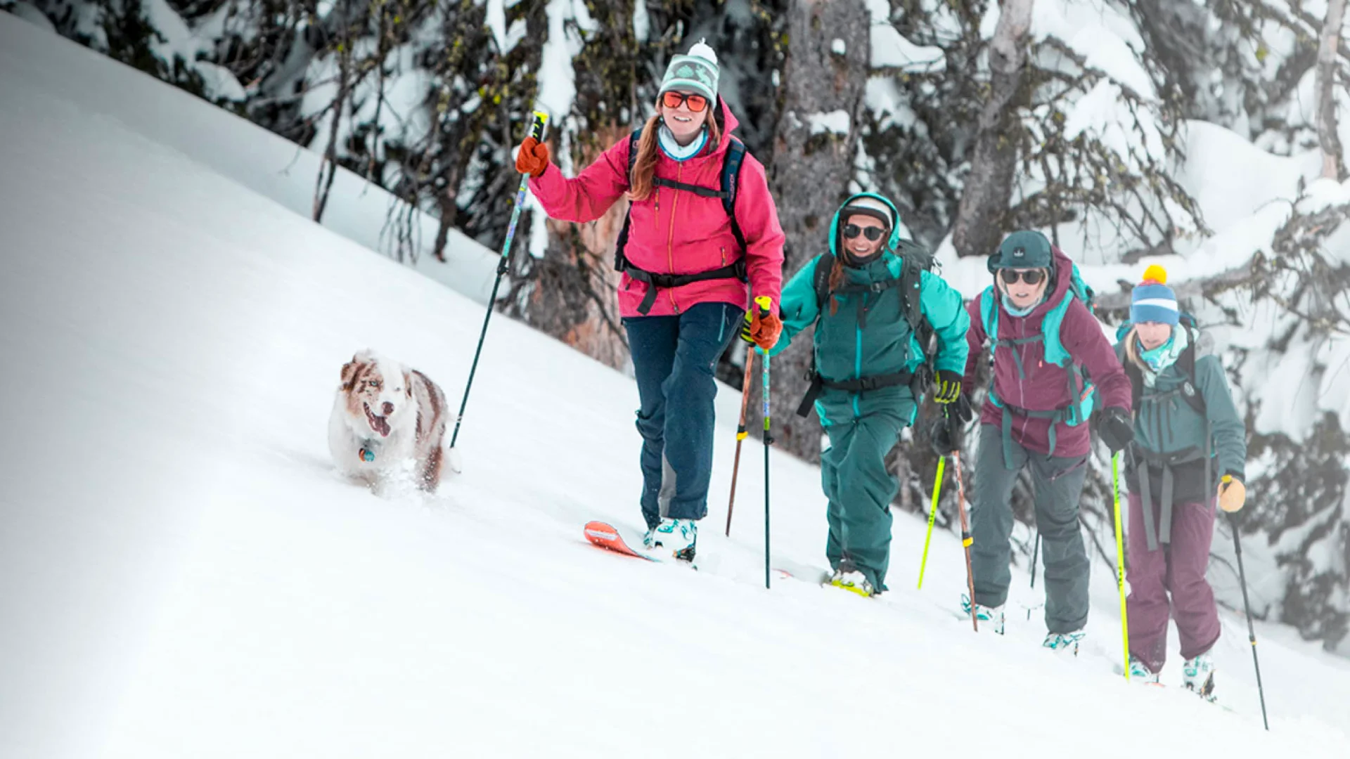 Location Ski de randonnée - Skimax Argentière Chamonix